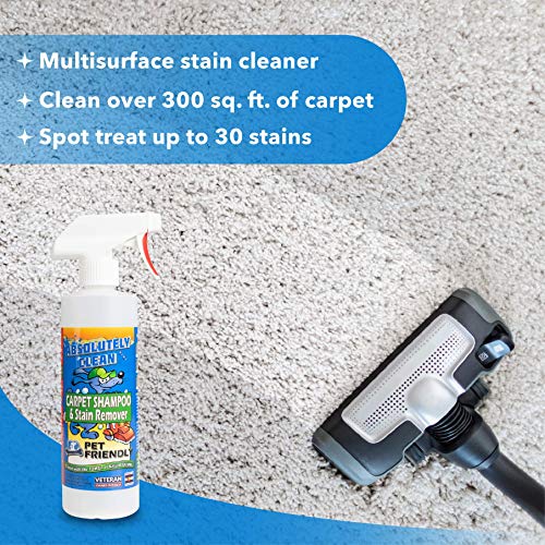 Absolutely Clean Carpet and Upholstery Shampoo, Stain Remover and Leather Cleaner, Remove Stains in 60 s, Cleans Over 300 sq. ft.