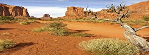 Reptile Habitat Background; Monument Valley with Tree, for 36Lx18Wx18H Terrarium, 3-Sided Wraparound