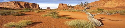 Reptile Habitat Background; Monument Valley with Tree, for 36Lx18Wx18H Terrarium, 3-Sided Wraparound