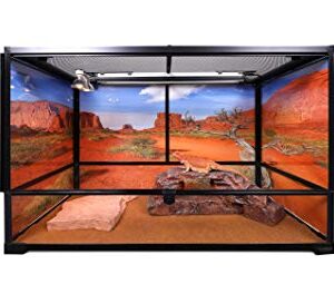 Reptile Habitat Background; Monument Valley with Tree, for 36Lx18Wx18H Terrarium, 3-Sided Wraparound