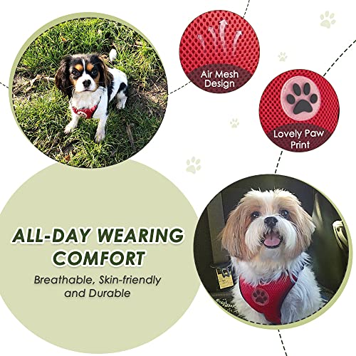 SlowTon Dog Seat Belt Car Harness Set - Adjustable Dog Seatbelt with Carabiner for Most Cars, Breathable Dog Vest Harness Padded with Car Safety Leash for Small Medium Large Dogs Puppy Cats(Red M)