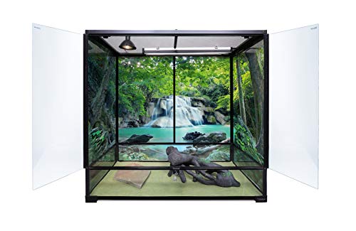 Reptile Habitat Background; Rain Forest with Waterfall, for 36Lx18Wx18H Terrarium, 3-Sided Wraparound