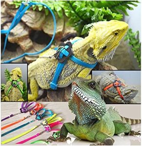 serdokntbig adjustable reptile lizard harness leash adjustable multicolor light soft fashion