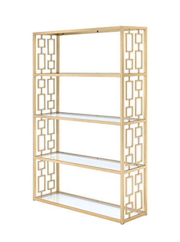 ACME Blanrio Bookshelf - - Gold & Clear Glass