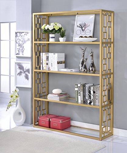 ACME Blanrio Bookshelf - - Gold & Clear Glass