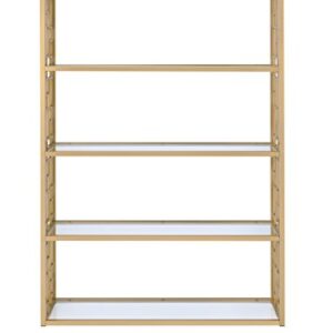 ACME Blanrio Bookshelf - - Gold & Clear Glass