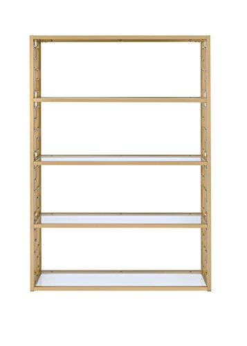 ACME Blanrio Bookshelf - - Gold & Clear Glass