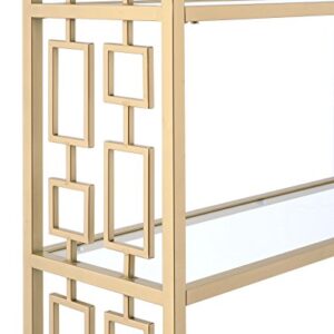 ACME Blanrio Bookshelf - - Gold & Clear Glass