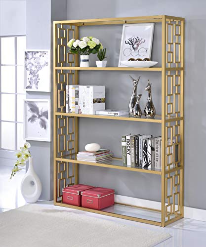 ACME Blanrio Bookshelf - - Gold & Clear Glass