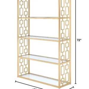 ACME Blanrio Bookshelf - - Gold & Clear Glass