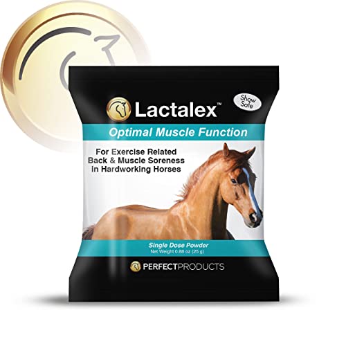 Perfect 10 LACTPOW1 (C) Lactalex Powder Single Packet(60) 1PACKET