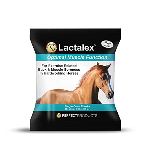 Perfect 10 LACTPOW1 (C) Lactalex Powder Single Packet(60) 1PACKET