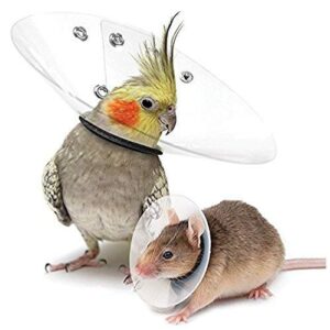 kvp saf-t-shield elizabethan collar for rodents & birds-fits 2.7-3.5" neck opening circumference