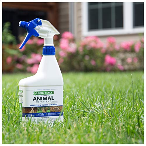 Liquid Fence All-Purpose Animal Repellent, Repels Rabbits, Squirrels, Mice, Raccoons And Other Small Mammals, Harmless to Plants and Animals When Used & Stored as Directed, 32 fl Ounce Spray