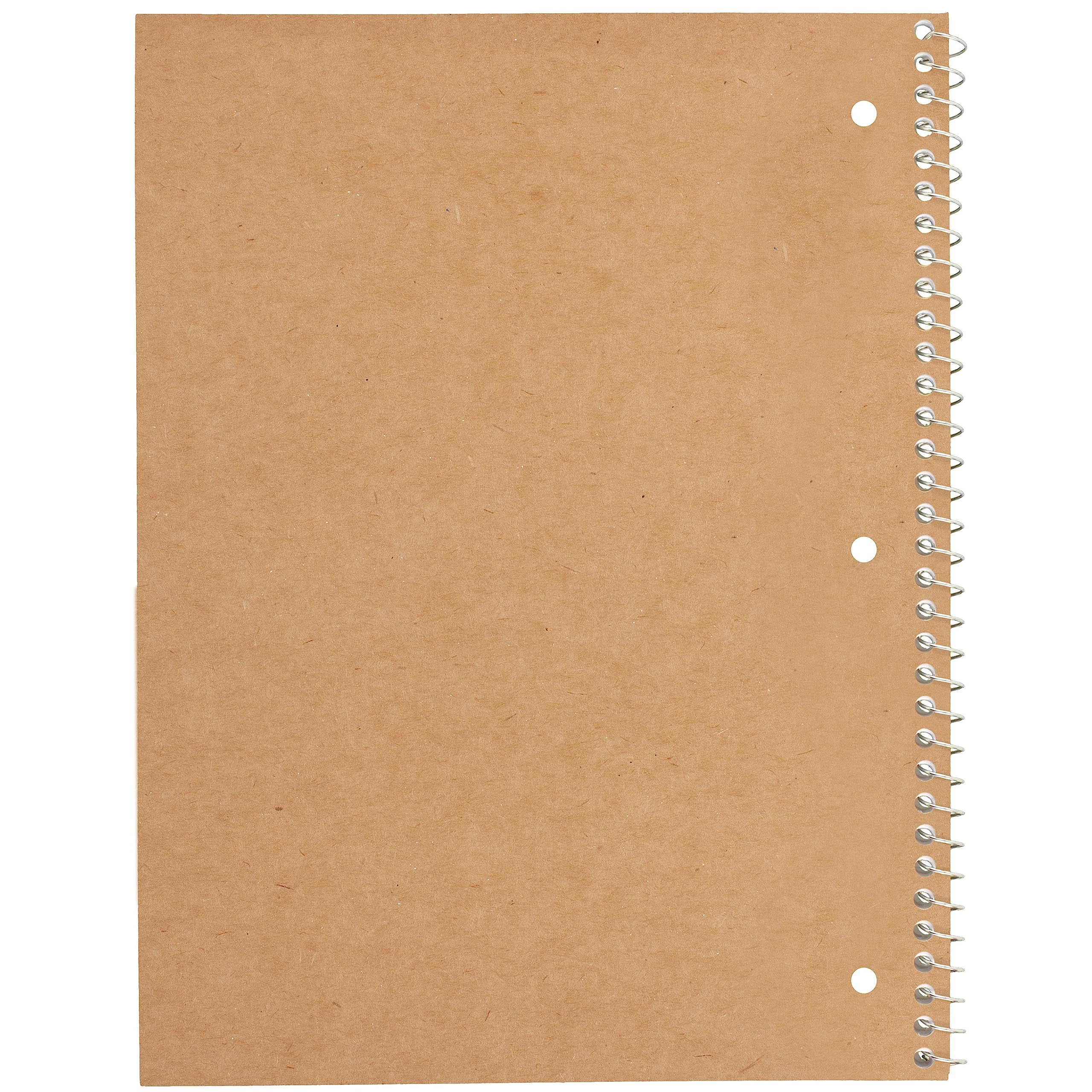 Mead Spiral Notebooks, 6 Pack, 1-Subject, Wide Ruled Paper, 8" x 10-1/2", 70 Sheets, Assorted Pastel Colors (930050-ECM)