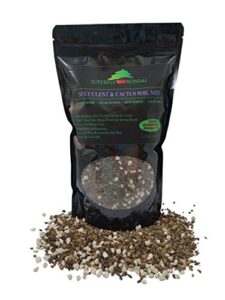 succulent & cactus soil mix - premium pre-mixed fast draining blend (1.25 dry quarts)