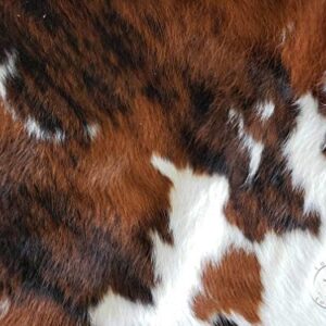 Genuine Tricolor Cowhide Rug XL 6 x 7-8 ft. - 180 x 240cm