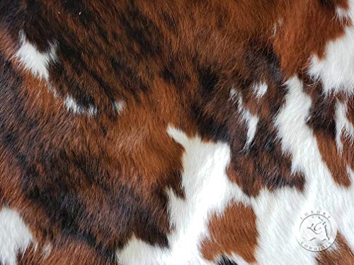 Genuine Tricolor Cowhide Rug XL 6 x 7-8 ft. - 180 x 240cm