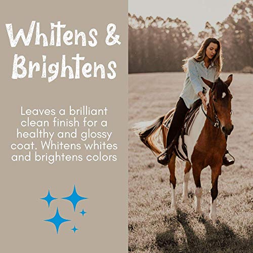 WashBar Natural Horse Shampoo Bar, for Horses and Large Dogs, Whitens Brightens All Colored Coats, Long-Lasting and Easier to Use Than Liquid Pet Shampoo with No Plastic Waste, 6.5oz