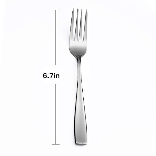 Eslite Staintess Steel Salad Forks Set,6.7-Inch,12-Piece