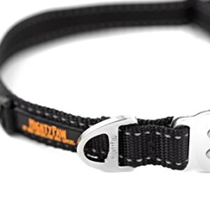 Mighty Paw Metal Buckle Dog Collar, All Metal Hardware, Lightweight Collar, Reflective Stitching, Strong, Durable (Medium, Black)