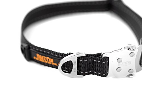 Mighty Paw Metal Buckle Dog Collar, All Metal Hardware, Lightweight Collar, Reflective Stitching, Strong, Durable (Medium, Black)