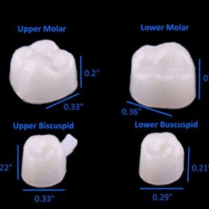 100 PCS Mixed Dental Temporary Crown Kit Anterior Front & Molar Posterior 50 of each