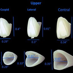 100 PCS Mixed Dental Temporary Crown Kit Anterior Front & Molar Posterior 50 of each