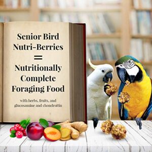 LAFEBER'S Senior Bird Nutri-Berries Pet Bird Food, Made with Non-GMO and Human-Grade Ingredients, for Macaws & Cockatoos, 3 lb