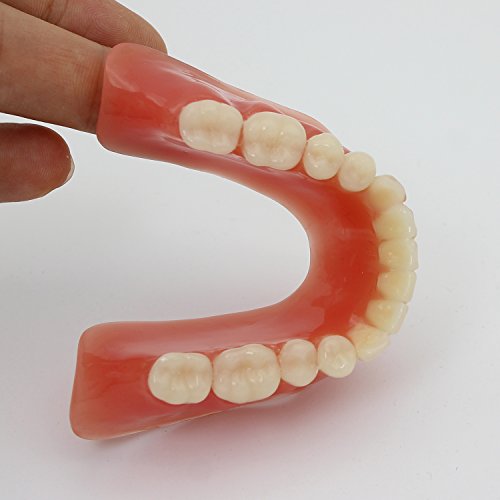 Dental Teeth Model Precision 4 Implant Overdenture Inferior Tooth Golden Color