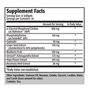 Res-Q Brain Focus