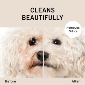 Eye Envy Tear Stain Facial Cleanser for Dogs and Cats | Washes Away Crusty Eye Debris, Eye Boogers and Eye Discharge | Tearless Foaming Formula | Treats The Cause of Staining | 100% Natural