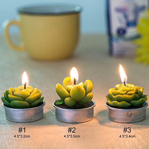 Cactus Tealight Candles,12 Pieces Handmade Delicate Succulent Cactus Candles for Party Wedding Spa Home Decoration Gifts