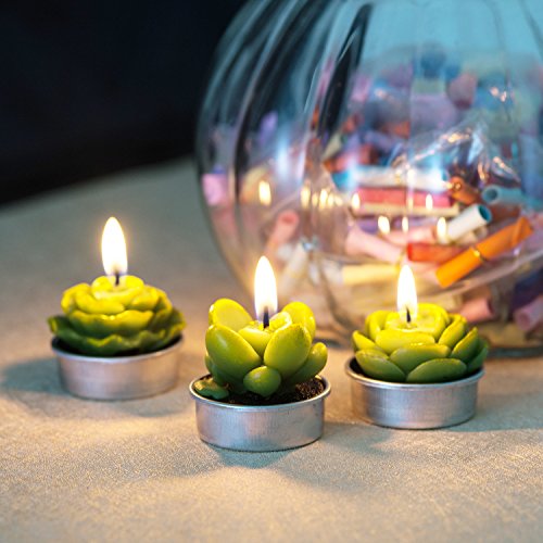 Cactus Tealight Candles,12 Pieces Handmade Delicate Succulent Cactus Candles for Party Wedding Spa Home Decoration Gifts