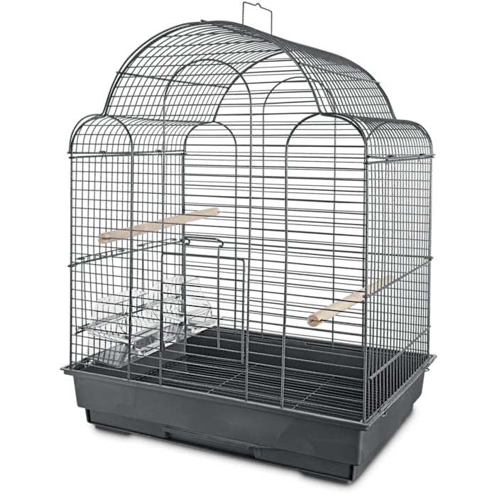 You & Me Parakeet Scallop Top Cage