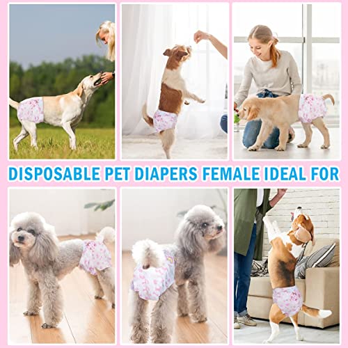 Dono Disposable Pet Diapers for Female Dogs Super Absorbent Soft Heating and Pee Puppy Diapers Female Liners, Including 20pcs XXS Diapers for Dogs and Cats