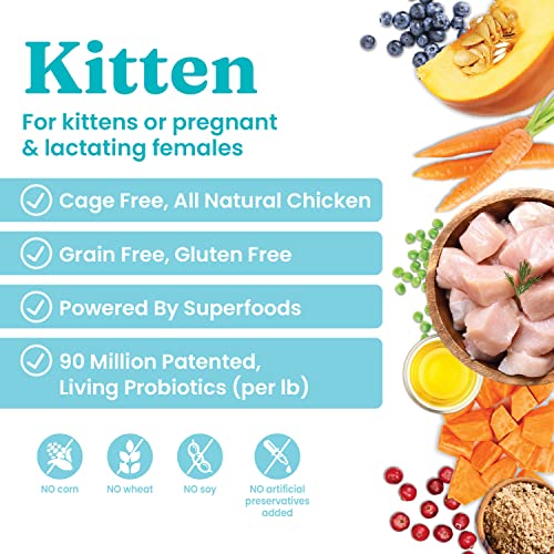 Solid Gold Dry Kitten Food - Made with Real Chicken and Sweet Potato - Touch of Heaven Grain Free Dry Cat Food for Kittens - Natural Support for Bone, Joint and Immune System Development