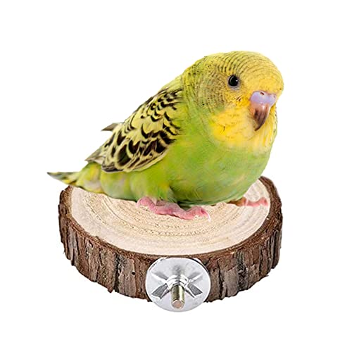 Litewoo Bird Perching Stand Ring Pine Platform Wooden Toy Suitable for Parrot Parakeet Cockatiel Lovebird Budgie Sparrow Canary Cockatoo (S)