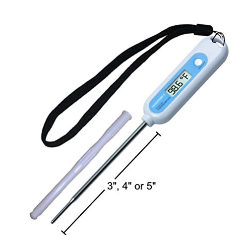 SHARPTEMP-V Veterinary Thermometer. Fast, Accurate Temperatures in 8-10 Sec. Beeps When Ready. Stainless-Steel Probe w/ Rounded Tip. Three Lengths for Farm Animals & Pets. (3" Probe)