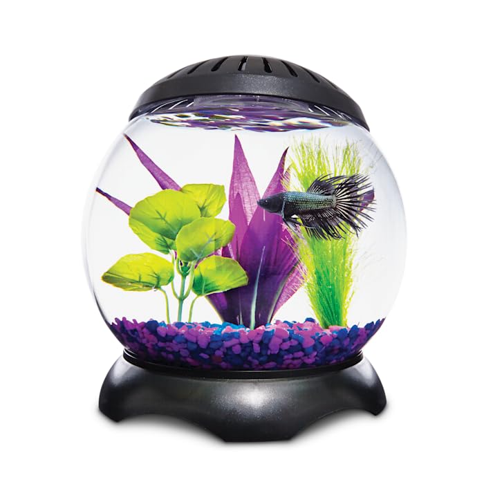 Imagitarium 1.3 Gallon Lotus Tank