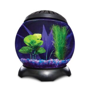 Imagitarium 1.3 Gallon Lotus Tank