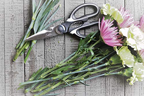 Emilio Torazzi Kitchen Scissors - Ultra Sharp Premium Multi Purpose Kitchen Shears - Heavy Duty & Dishwasher Safe