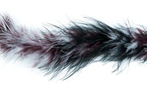 EcoCity Cat Wand Feather Refills for Interactive Cat and Kitten Wands Include 6 Pieces Replacement Feathers and 1 Soft Furry Tail for Cats (7 Pieces)