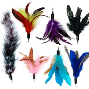 EcoCity Cat Wand Feather Refills for Interactive Cat and Kitten Wands Include 6 Pieces Replacement Feathers and 1 Soft Furry Tail for Cats (7 Pieces)