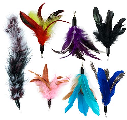 EcoCity Cat Wand Feather Refills for Interactive Cat and Kitten Wands Include 6 Pieces Replacement Feathers and 1 Soft Furry Tail for Cats (7 Pieces)