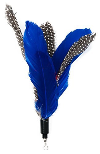 EcoCity Cat Wand Feather Refills for Interactive Cat and Kitten Wands Include 6 Pieces Replacement Feathers and 1 Soft Furry Tail for Cats (7 Pieces)