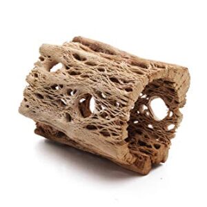 3, 6, 9, 12 Inch All Natural Teddy Bear Cholla Wood Extra Hollow Untreated Organic Aquarium Driftwood Decoration Chew Toy Shrimp Crab Pleco Cichlid Nano Tank Birds 1 or 5 Pieces (1 Piece, 3 inch)