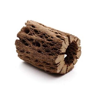 3, 6, 9, 12 Inch All Natural Teddy Bear Cholla Wood Extra Hollow Untreated Organic Aquarium Driftwood Decoration Chew Toy Shrimp Crab Pleco Cichlid Nano Tank Birds 1 or 5 Pieces (1 Piece, 3 inch)