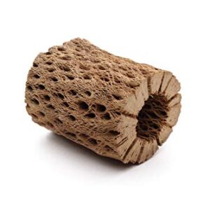 3, 6, 9, 12 Inch All Natural Teddy Bear Cholla Wood Extra Hollow Untreated Organic Aquarium Driftwood Decoration Chew Toy Shrimp Crab Pleco Cichlid Nano Tank Birds 1 or 5 Pieces (1 Piece, 3 inch)