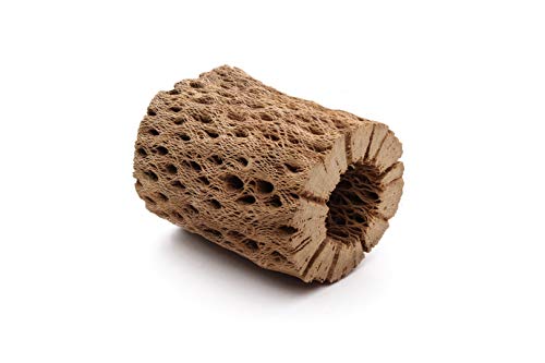 3, 6, 9, 12 Inch All Natural Teddy Bear Cholla Wood Extra Hollow Untreated Organic Aquarium Driftwood Decoration Chew Toy Shrimp Crab Pleco Cichlid Nano Tank Birds 1 or 5 Pieces (1 Piece, 3 inch)